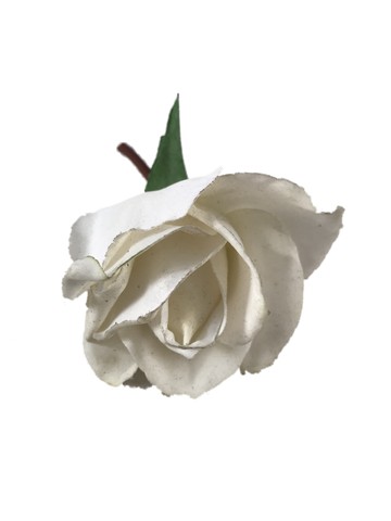 Five Feet Apart - Five Feet Apart Stella (Haley Lu Richardson) Flower ...