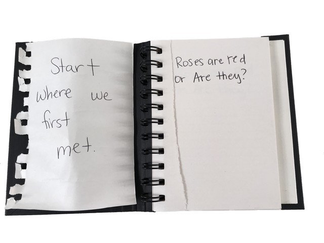 Five Feet Apart - Five Feet Apart Stella (Haley Lu Richardson) Book ...