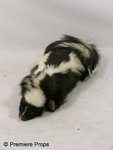 Hollywood Backlot - Furry Vengeance Floppy Skunk Movie Props #1 Movie ...