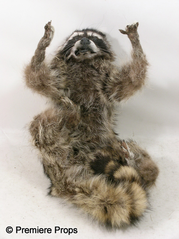 Furry Vengeance Raccoon